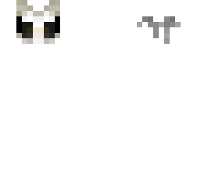 skull mask | Minecraft Skins