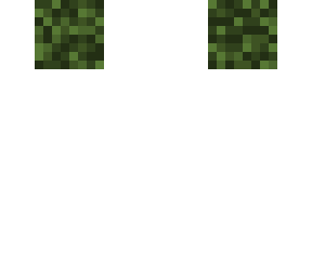 Moosblock | Minecraft Skin