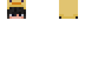 Minecraft Skin Heads