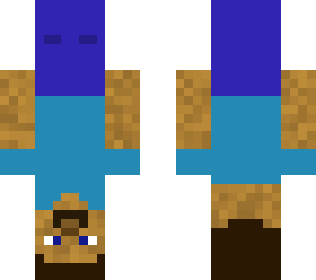 upside down steve | Minecraft Skins