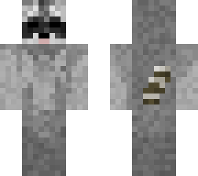 Raccoon | Minecraft Skin