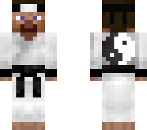 Karate Steve | Minecraft Skin