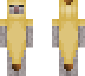 meme cat | Minecraft Skins