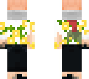 pie head | Minecraft Skin