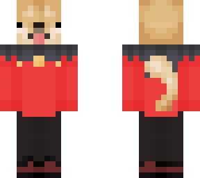doge | Minecraft Skins