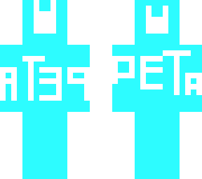 Peta | Minecraft Skin