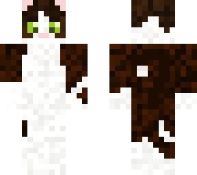 Smook the cat | Minecraft Skin