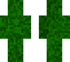 Moss/Sand Camo | Minecraft Skin