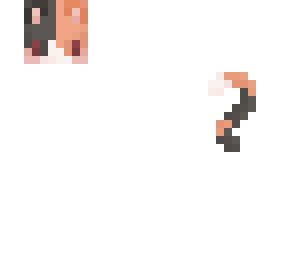 cat mask | Minecraft Skins