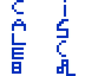 Caleb is cool | Minecraft Skin