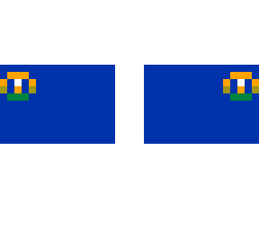 Nevada Flag | Minecraft Skin
