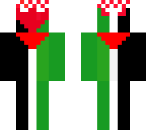 Palestine | Minecraft Skin