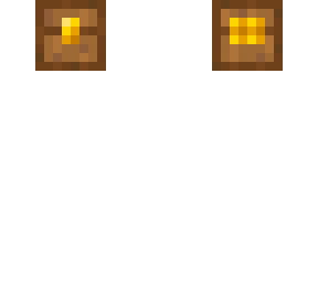 Chest Head | Minecraft Skin