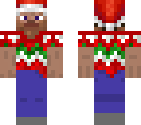 winter steve | Minecraft Skins