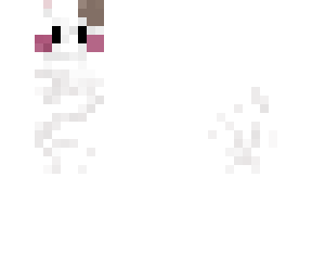 catcakes skin | Minecraft Skin