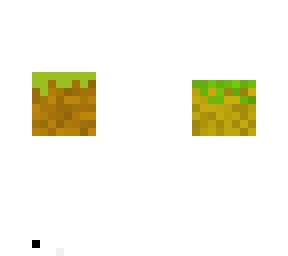 dirt | Minecraft Skin
