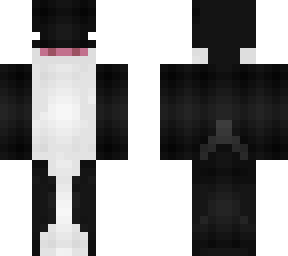 Orca | Minecraft Skin