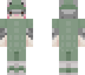 cat in frog costume | Minecraft Skin