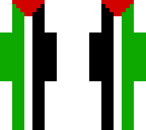 Palestine | Minecraft Skin