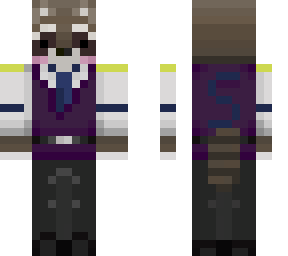 Racoon peeps | Minecraft Skin