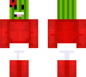 sunny and melon | Minecraft Skins