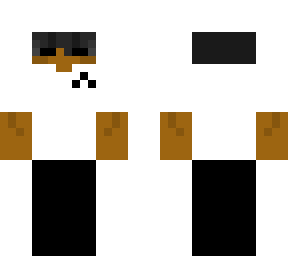 amir | Minecraft Skins