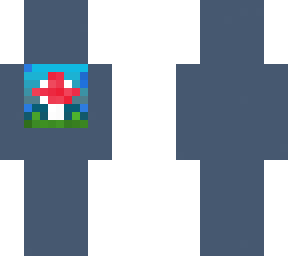 pfp contest skin | Minecraft Skin