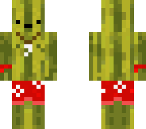 surfer | Minecraft Skins