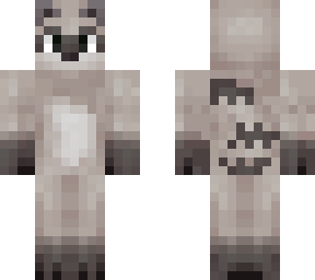 raccoon | Minecraft Skins