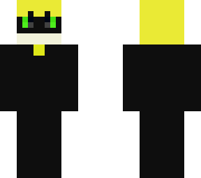 cat noir | Minecraft Skins
