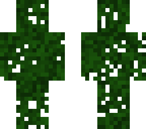 Hide and seek skin | Minecraft Skin