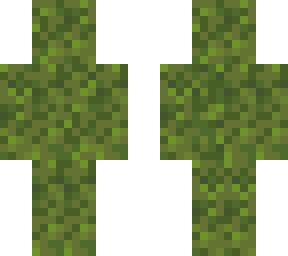 hide and seek | Minecraft Skins