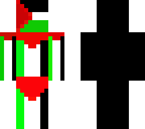 PALESTINE SKIN | Minecraft Skin