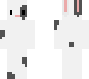 buni | Minecraft Skin