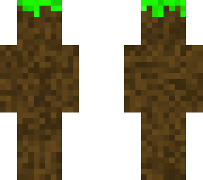 Dirt block | Minecraft Skin