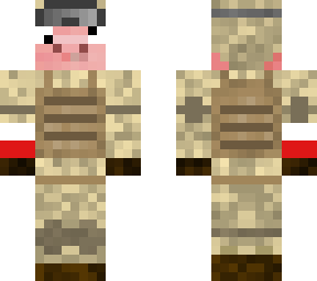 Polish Soldier Pig | Minecraft Skin
