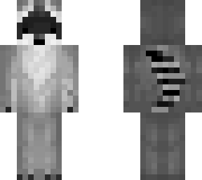 Raccoon | Minecraft Skin