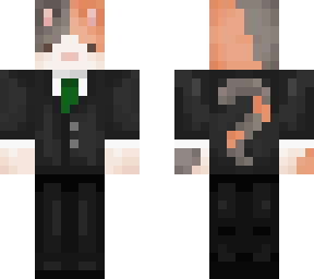 cat suit | Minecraft Skins