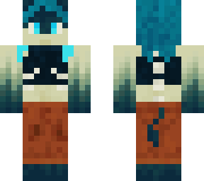 Warden Robin | Minecraft Skin
