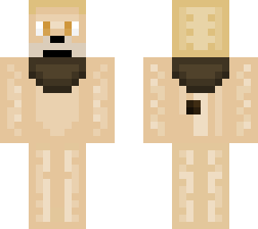 lion | Minecraft Skins