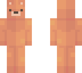 java | Minecraft Skins