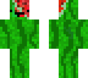watermelon | Minecraft Skins