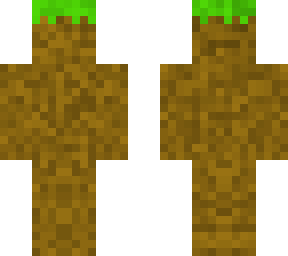 Grass Block Skin | Minecraft Skin