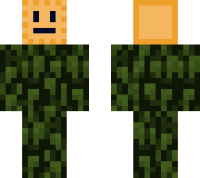 Ravioli camo true | Minecraft Skin