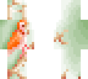 Requests? | Minecraft Skin