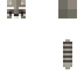 raccoon | Minecraft Skins