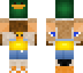 Mallard Pool Floaties | Minecraft Skin