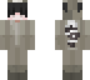 raccoon | Minecraft Skins