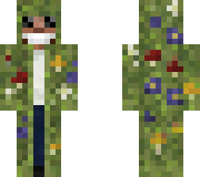 bdubs mushroom | Minecraft Skin