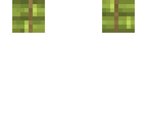 Bundle of Bamboo | Minecraft Skin